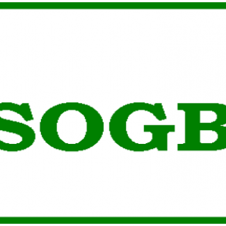 Le partenariat SOGB–déplacés de Grand-Béréby au service du développement rural - Socfin