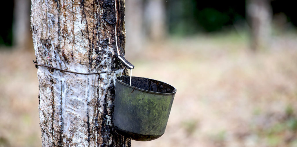 Renewable natural rubber’s essential role in our sustainable mobility ...