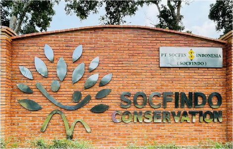Socfindo - Socfin